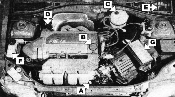 Weekly under-hood checkpoints (Renault Clio 1, 1990-1998 / General ...